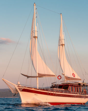 Polaris Yachting -Croatia cruise, gulet cruise, boat day trip, taxi ...